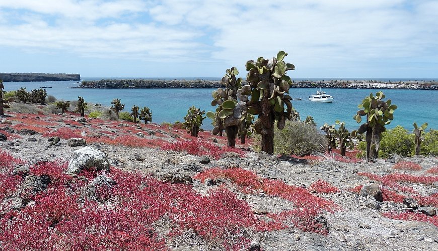Warum Sie die Galapagos Inseln besuchen sollten