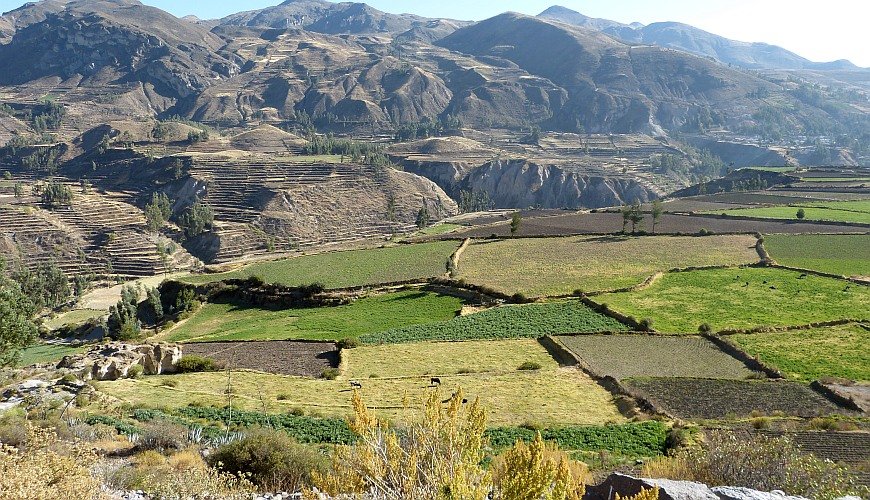 Chivay als Reiseziel in Peru